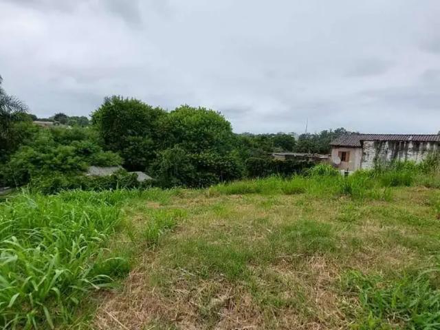 Terreno / Lote para Venda em Viamão/RS Santa Cecília
