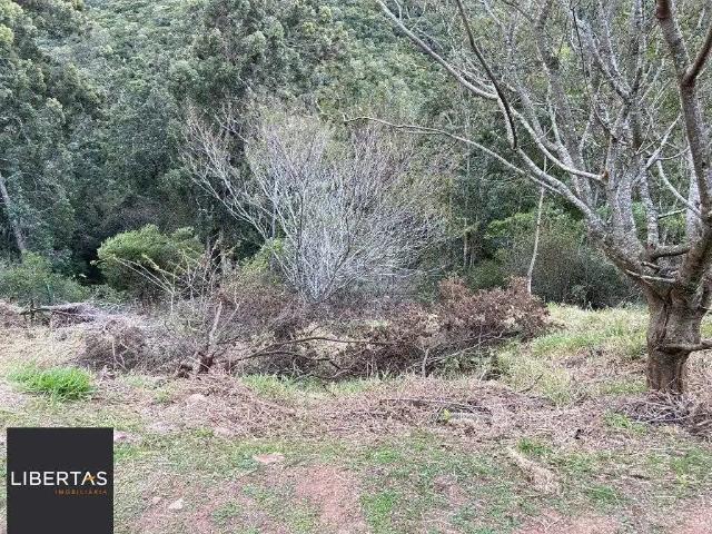 Terreno / Lote para Venda em Viamão/RS Santa Isabel