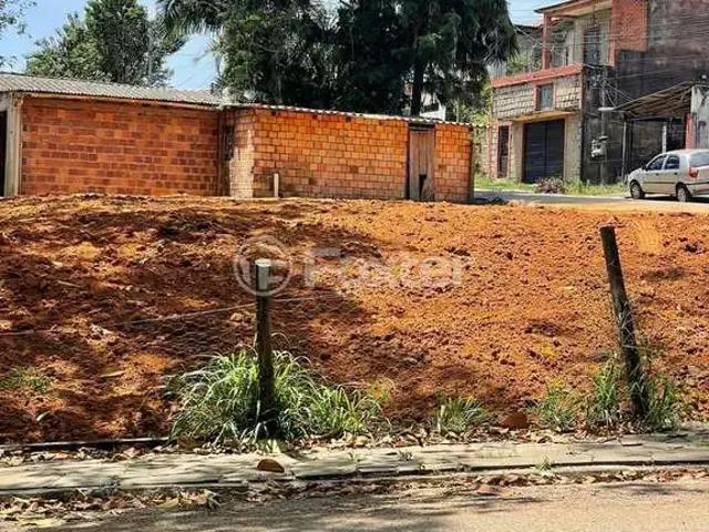 Terreno / Lote para Venda em Viamão/RS Santa Isabel