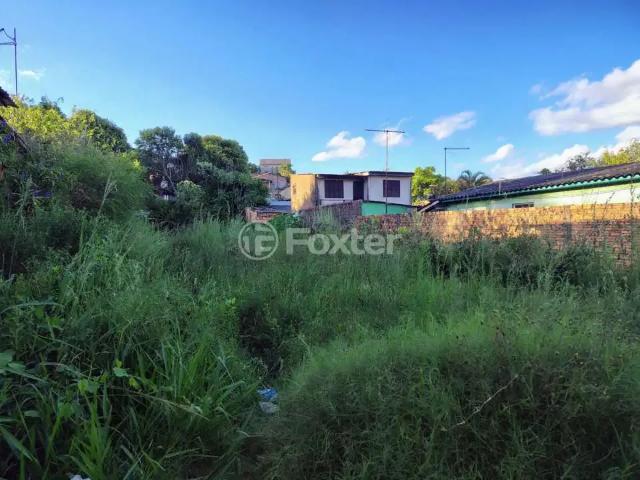 Terreno / Lote para Venda em Viamão/RS Santa Isabel
