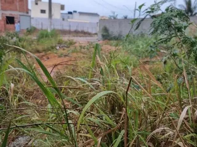Terreno / Lote para Venda em Vila Velha/ES Morada de Interlagos