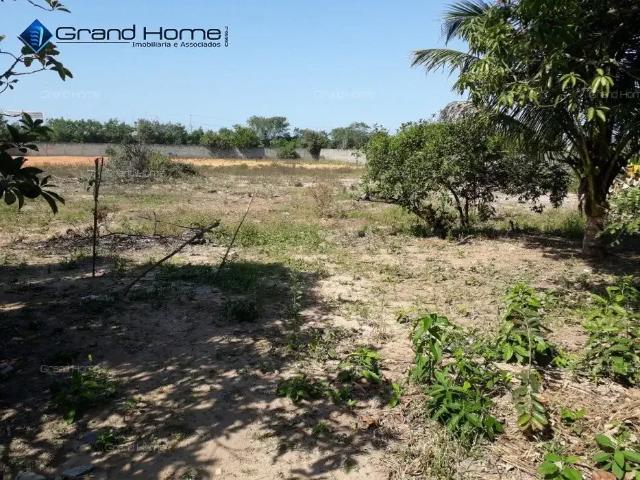 Terreno / Lote para Venda em Vila Velha/ES Ulisses Guimarães