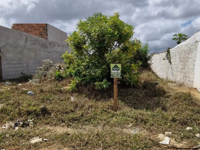 Terreno / Lote para Venda em Vitória da Conquista/BA Jatobá
