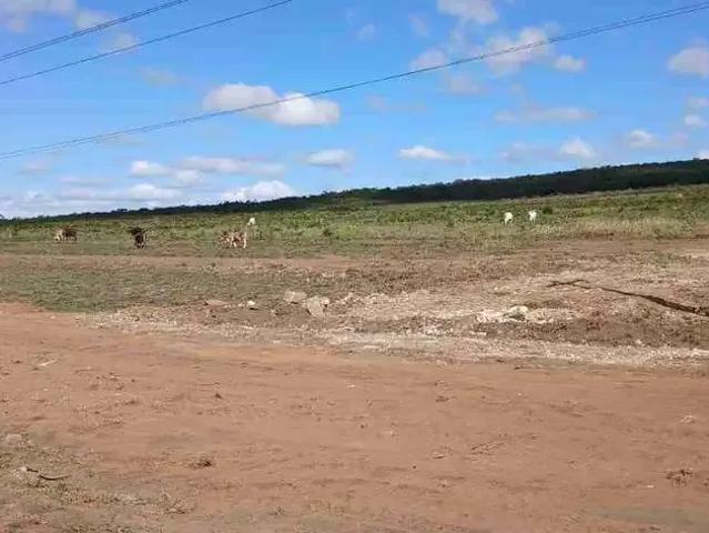 Terreno / Lote para Venda em Vitória da Conquista/BA Primavera