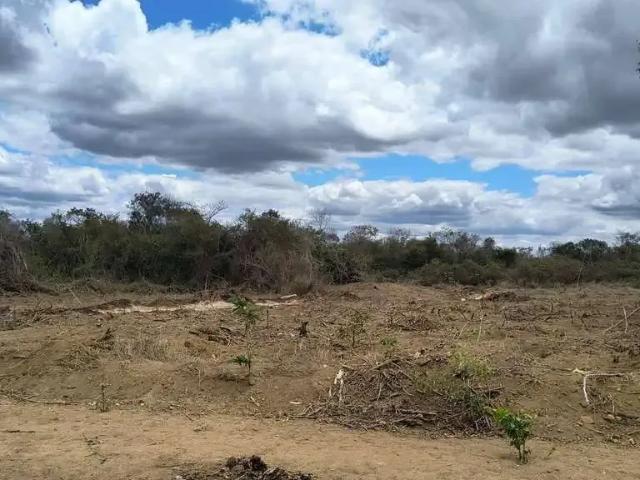 Terreno / Lote para Venda em Vitória da Conquista/BA Universidade