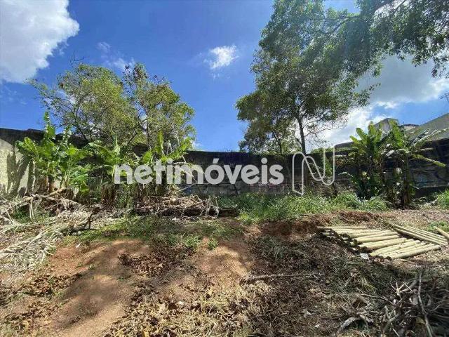 Terreno / Lote para Venda em Vitória/ES Ilha do Frade