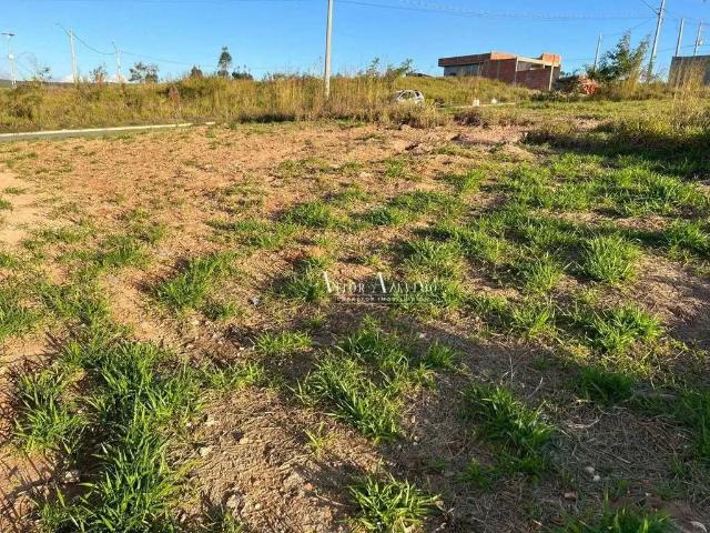 Terreno / Lote para Venda em Votorantim/SP Vila Santo Antônio