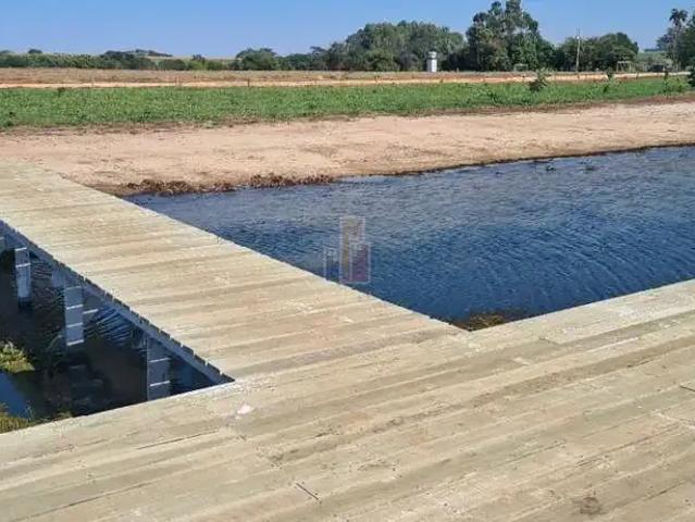 Terreno / Lote para Venda em Zacarias/SP Centro