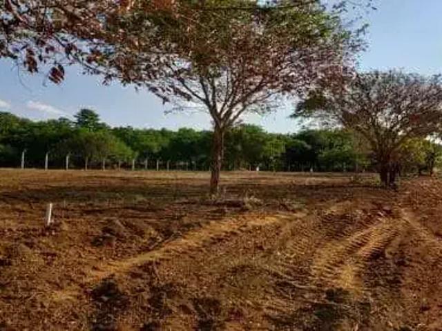 Terreno / Lote para Venda em Abadia de Goiás/GO Quinta dos Sonhos