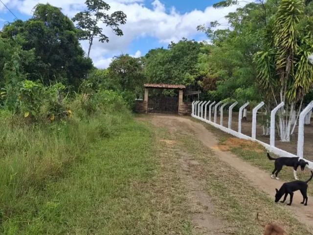 Terreno / Lote para Venda em Abreu e Lima/PE Área Rural de Abreu e Lima
