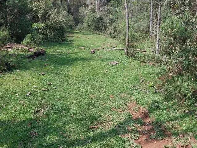 Terreno / Lote para Venda em Água Doce/SC Centro