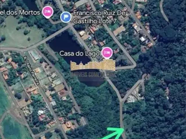 Terreno / Lote para Venda em Águas da Prata/SP Jardim Das Paineiras