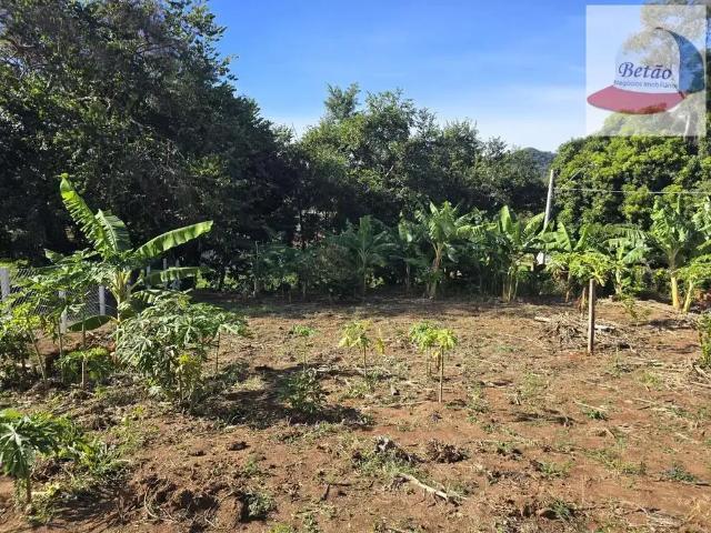 Terreno / Lote para Venda em Águas da Prata/SP Terras do Alegre