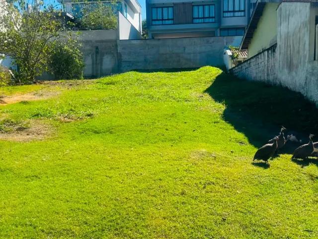Terreno / Lote para Venda em Águas de Lindóia/SP Maria Andrade Residence