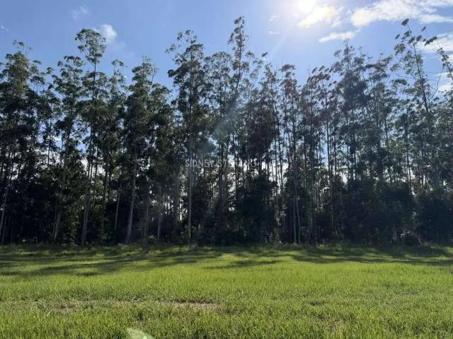 Terreno / Lote para Venda em Águas de Santa Bárbara/SP Thermas de Santa Barbara