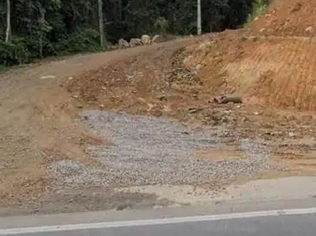 Terreno / Lote para Venda em Águas Mornas/SC Vargem Grande