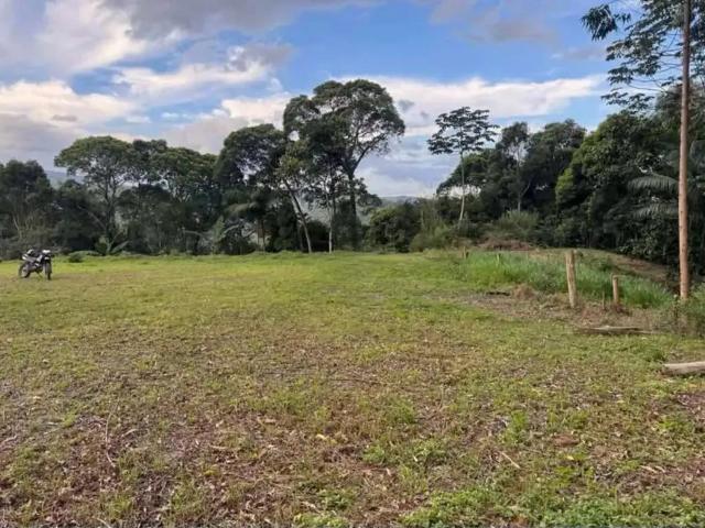 Terreno / Lote para Venda em Águas Mornas/SC Centro