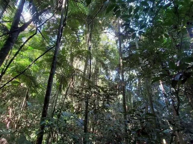 Terreno / Lote para Venda em Águas Mornas/SC Centro