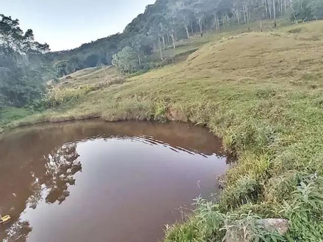 Terreno / Lote para Venda em Águas Mornas/SC Estrada Rio Do Cedro