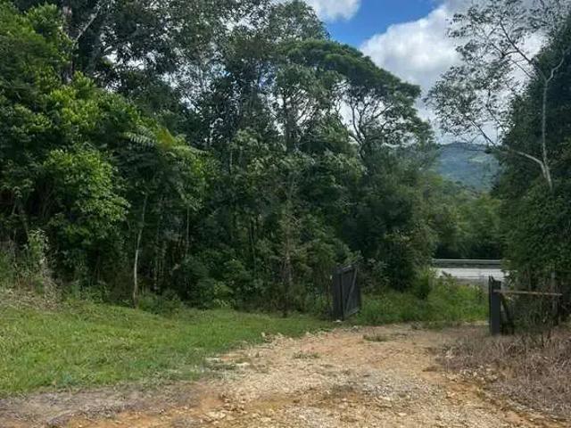 Terreno / Lote para Venda em Águas Mornas/SC Fazenda Sacramento