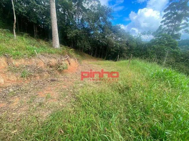 Terreno / Lote para Venda em Águas Mornas/SC Loeffelscheidt