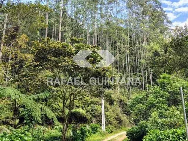 Terreno / Lote para Venda em Águas Mornas/SC Rio Novo
