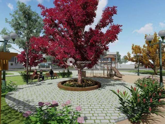 Terreno / Lote para Venda em Agudo/RS Centro