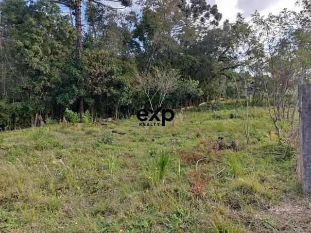 Terreno / Lote para Venda em Agudos do Sul/PR Leão