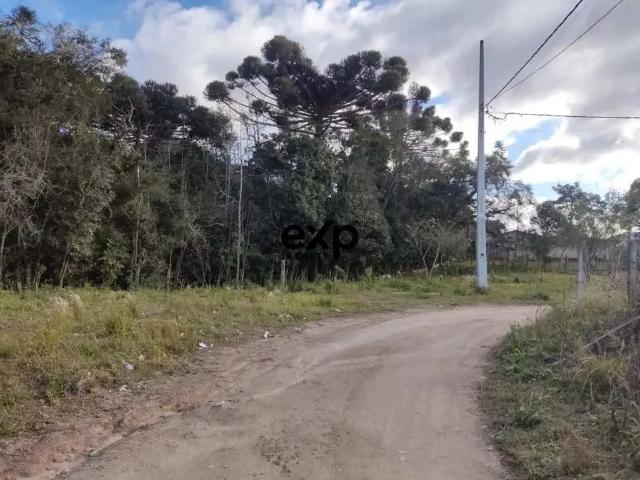 Terreno / Lote para Venda em Agudos do Sul/PR Leão
