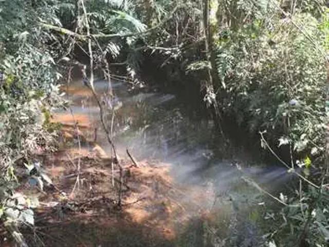 Terreno / Lote para Venda em Agudos do Sul/PR Pavãozinho