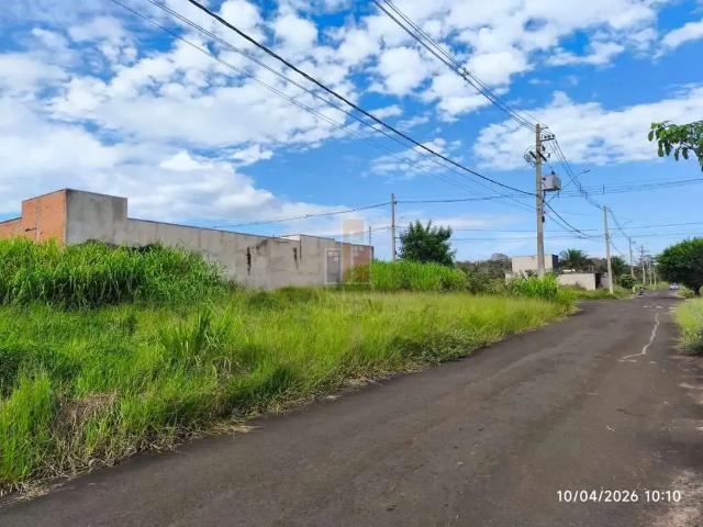 Terreno / Lote para Venda em Agudos/SP Vale do Igapó