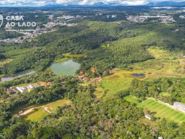 Terreno / Lote para Venda em Almirante Tamandaré/PR Colônia Vila Prado
