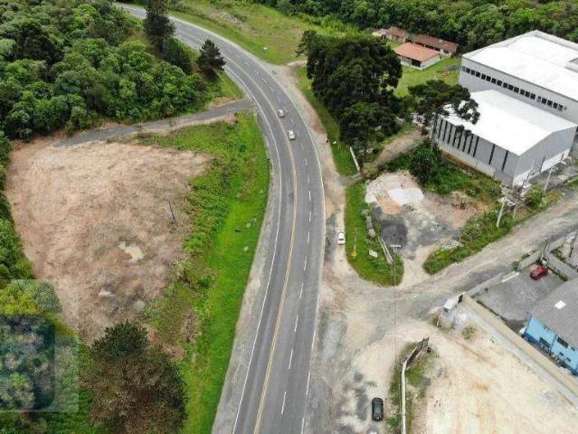 Terreno / Lote para Venda em Almirante Tamandaré/PR Colônia Antônio Prado