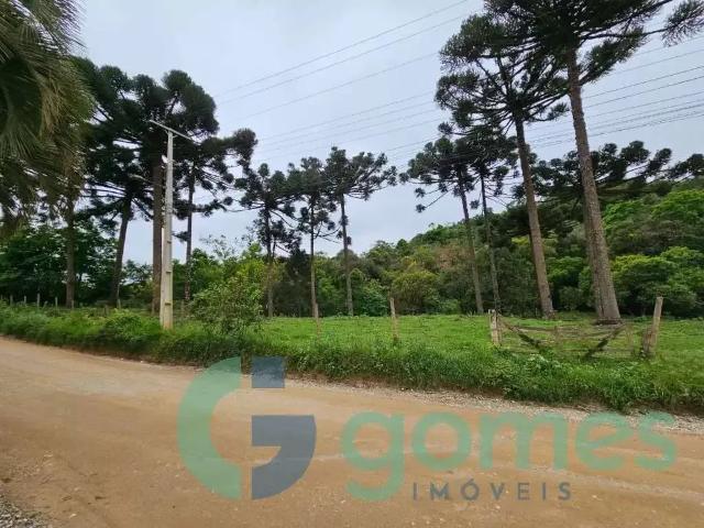 Terreno / Lote para Venda em Almirante Tamandaré/PR Colônia Antônio Prado