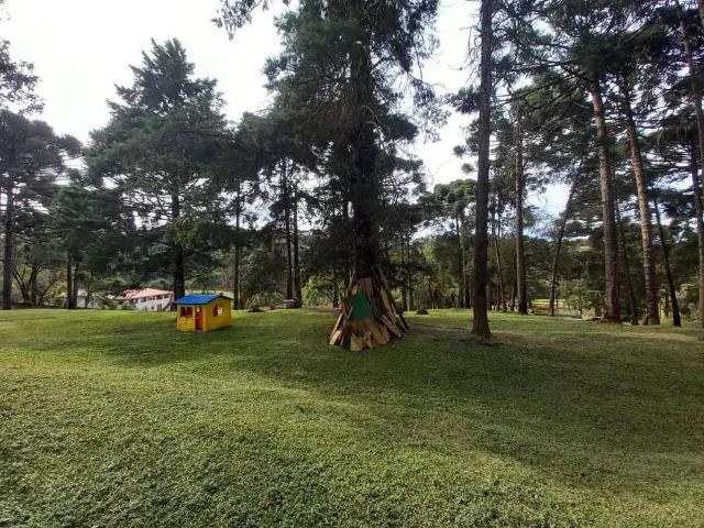 Terreno / Lote para Venda em Almirante Tamandaré/PR Colônia Antônio Prado