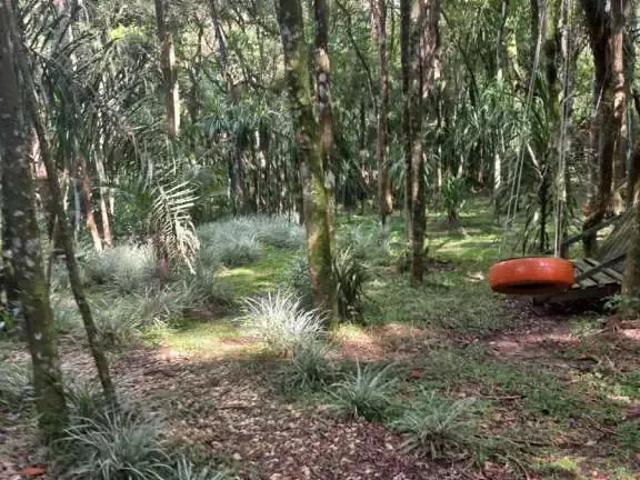 Terreno / Lote para Venda em Almirante Tamandaré/PR Colônia Santa Gabriela