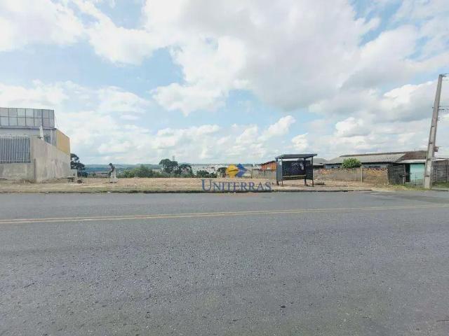 Terreno / Lote para Venda em Almirante Tamandaré/PR Campina do Arruda