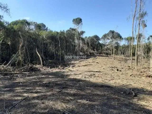 Terreno / Lote para Venda em Almirante Tamandaré/PR Área Rural de Almirante Tamandaré