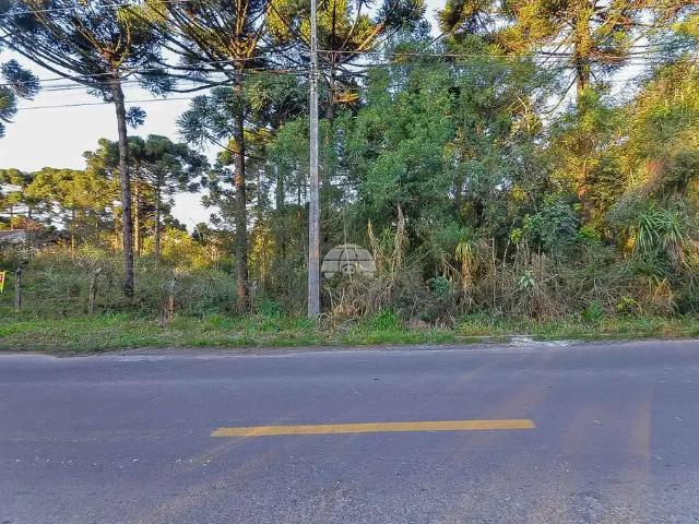 Terreno / Lote para Venda em Almirante Tamandaré/PR Jardim Marize