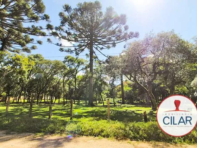 Terreno / Lote para Venda em Almirante Tamandaré/PR Jardim Formosa
