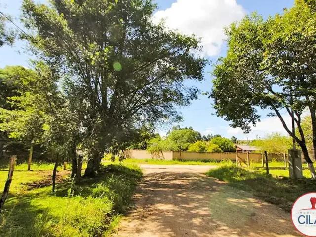 Terreno / Lote para Venda em Almirante Tamandaré/PR Jardim Formosa