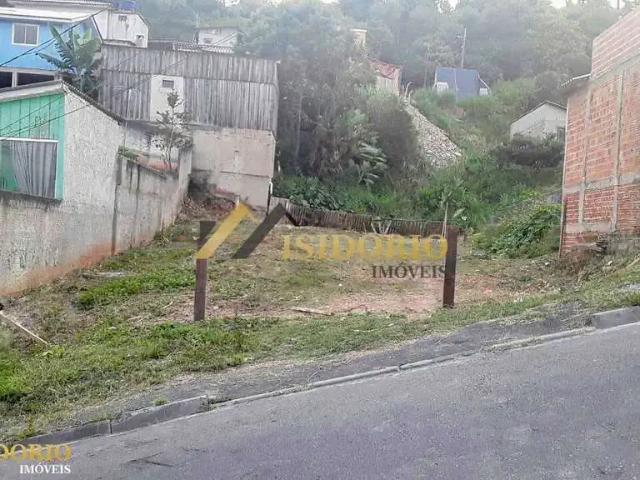 Terreno / Lote para Venda em Almirante Tamandaré/PR Jardim Roma