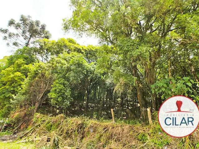Terreno / Lote para Venda em Almirante Tamandaré/PR Lamenha Grande