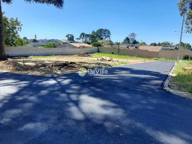 Terreno / Lote para Venda em Almirante Tamandaré/PR Lamenha Grande