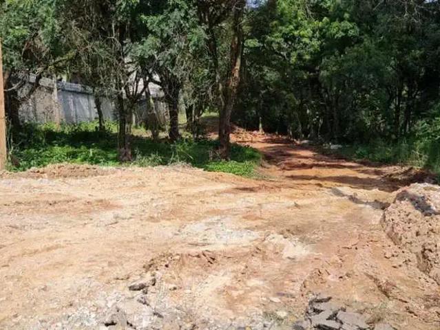 Terreno / Lote para Venda em Almirante Tamandaré/PR Lamenha Grande