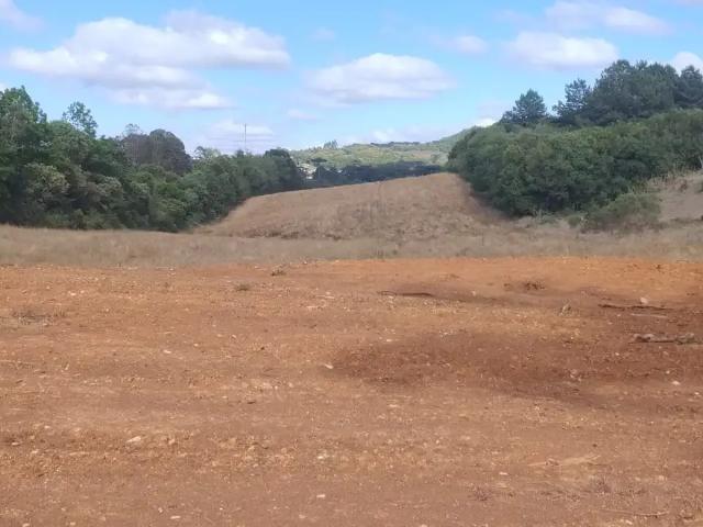 Terreno / Lote para Venda em Almirante Tamandaré/PR Mato Dentro