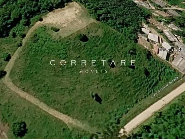 Terreno / Lote para Venda em Almirante Tamandaré/PR Pacotuba