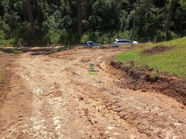 Terreno / Lote para Venda em Almirante Tamandaré/PR Pacotuba