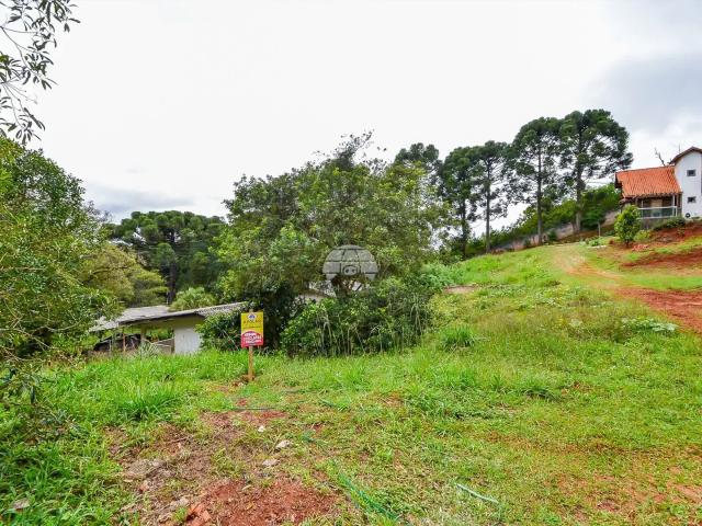 Terreno / Lote para Venda em Almirante Tamandaré/PR Pacotuba