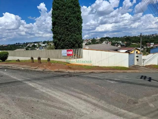 Terreno / Lote para Venda em Almirante Tamandaré/PR Tanguá 3 Quartos